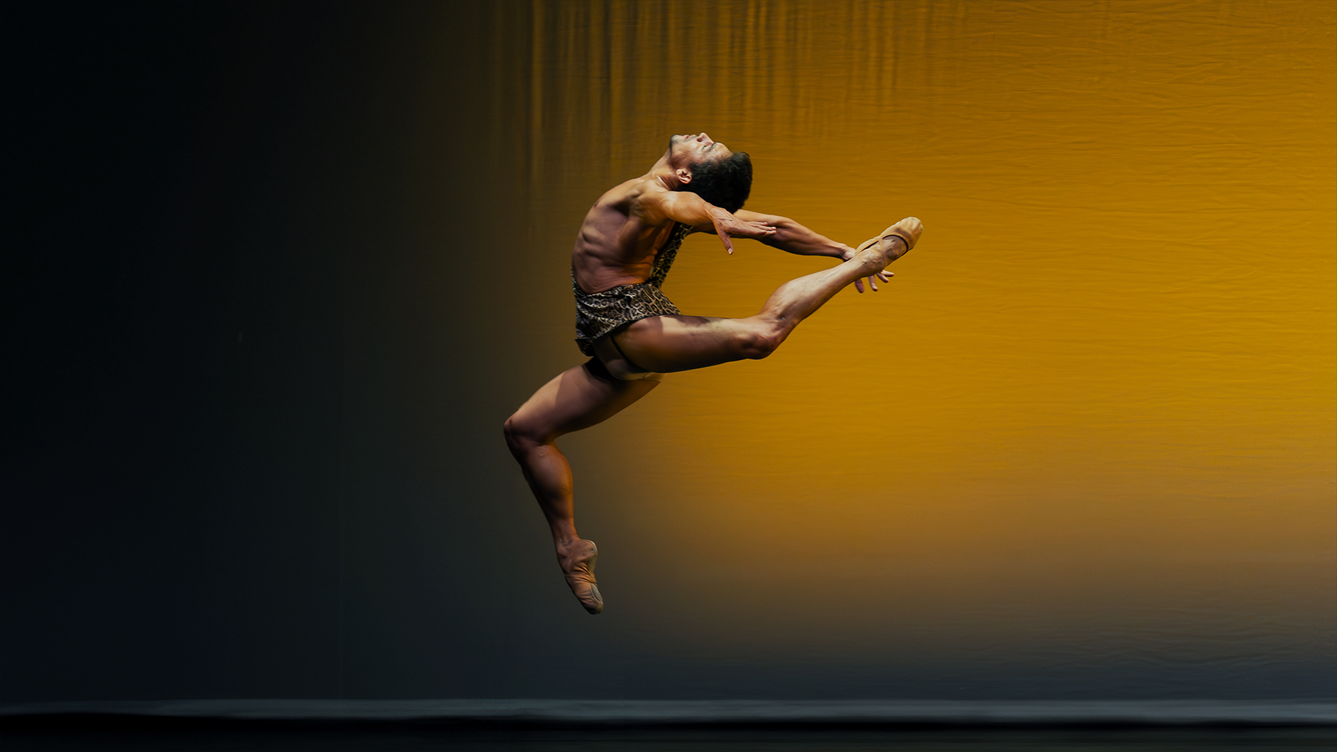 Ballet International Gala VII – Big Live